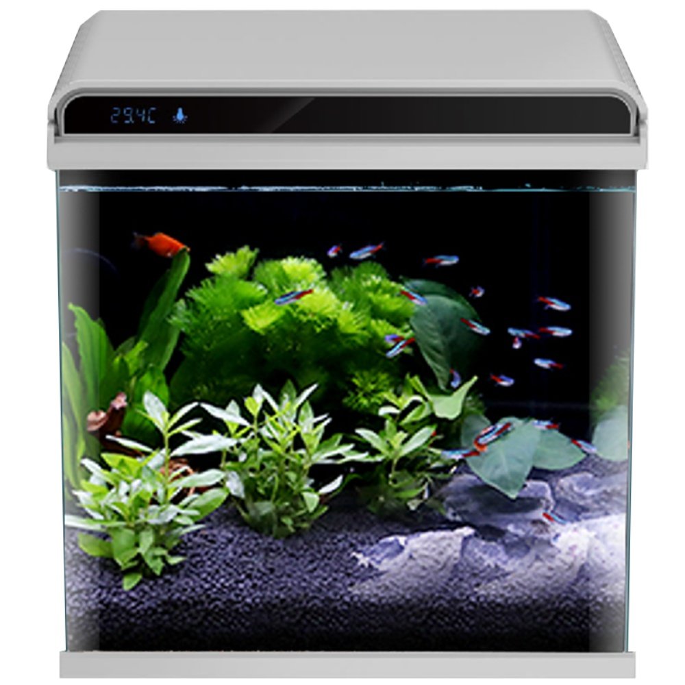 Sensen 2023 New Smart Ecological Fish Tank | Desktop Aquarium Without ...