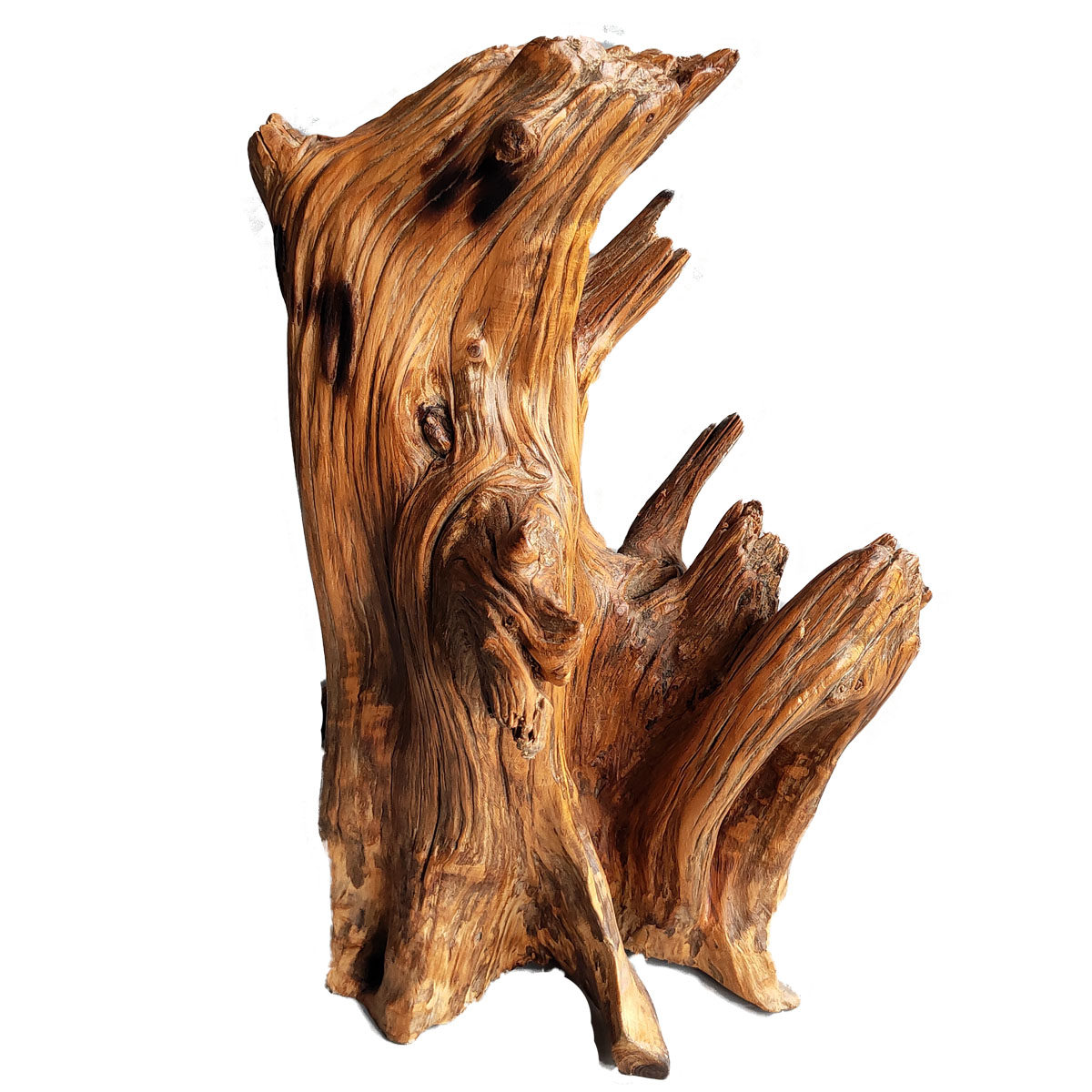 Root Carving Ornament - Natural Wood Sculpture