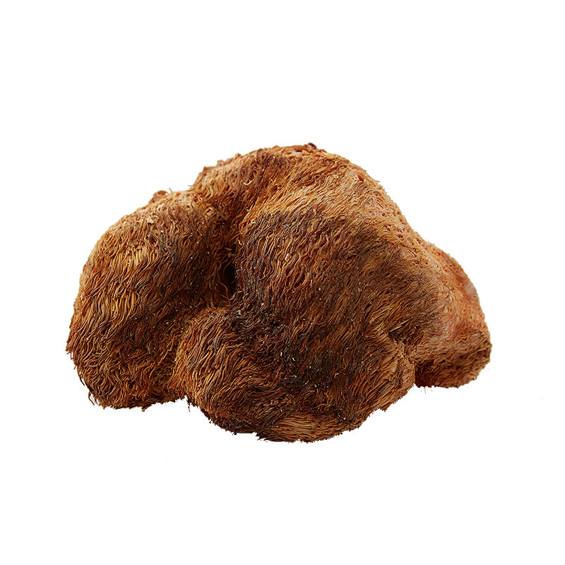 Hongo Cabeza de Mono Seco - 500g - Chen's Zhenbaohui
