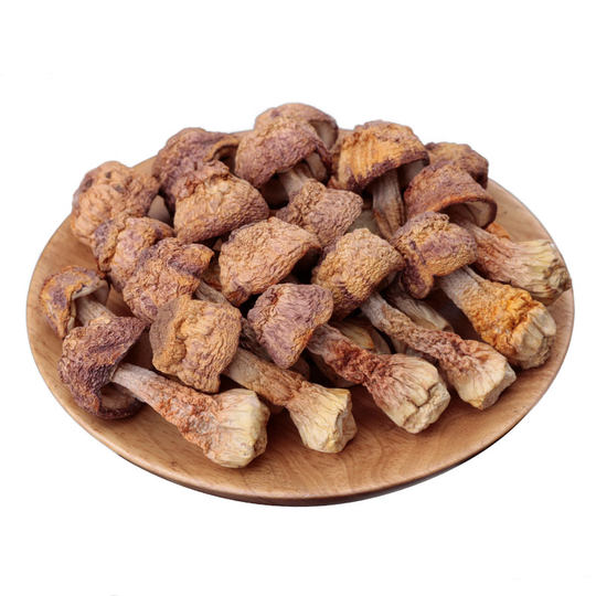 Produits secs aux champignons agaricus blazei - sélection de ...