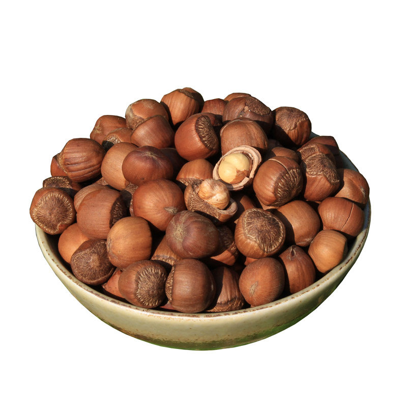 Tieling Hazelnuts - 1000g Northeast China Specialty - Original & Fresh