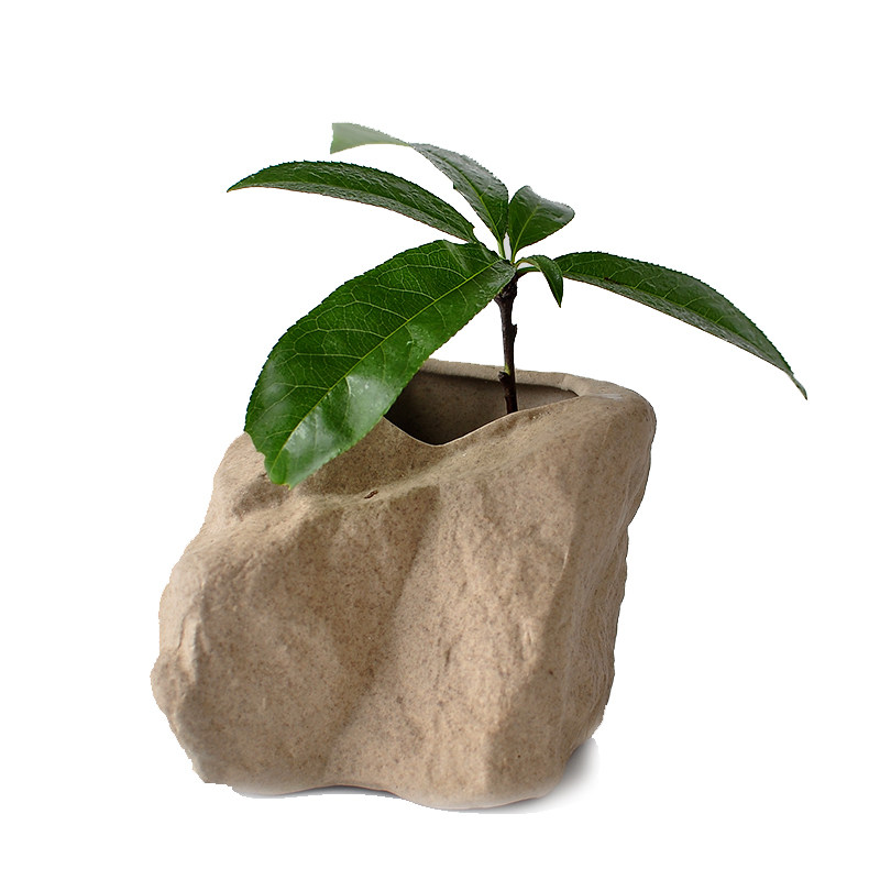Rock Clay Coarse Pottery Hydroponic Flower Arrangement Device - Mini ...