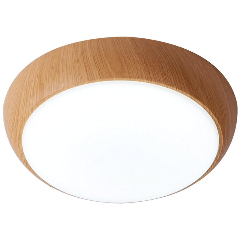 LED Ceiling Light - Simple Modern Acrylic Fixture