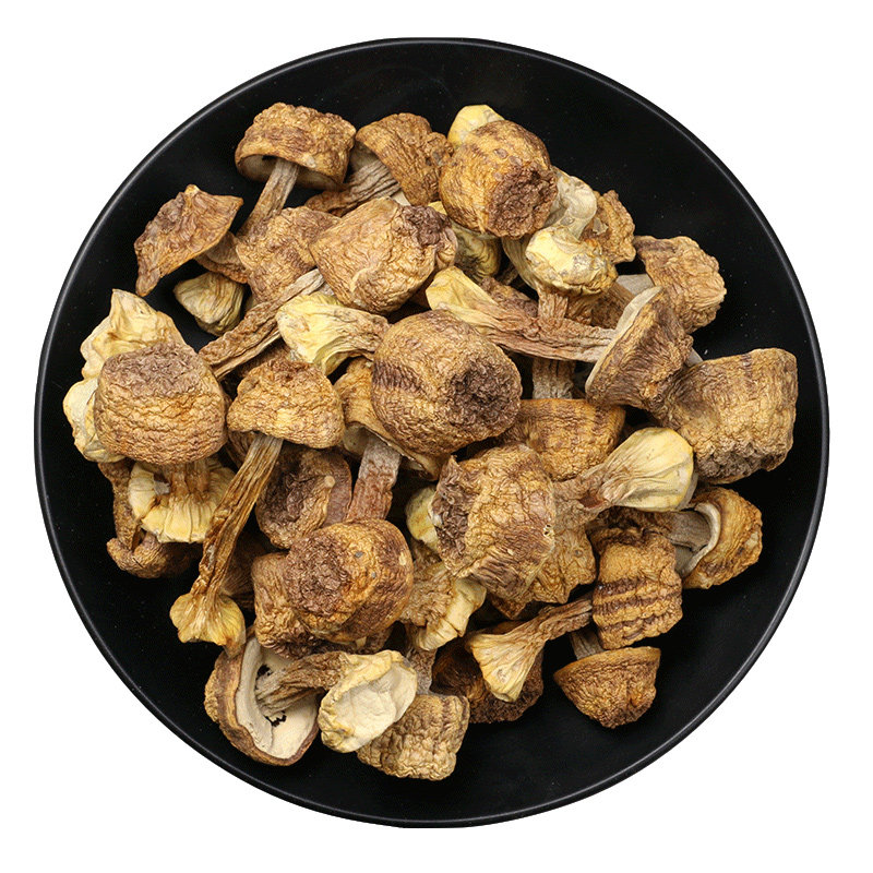 Ha Niu Agaricus Dry Goods Matsutake Mushroom Yunnan Specialty 400g