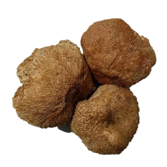 500g Dried Monkey Head Mushroom - Heilongjiang Province, China