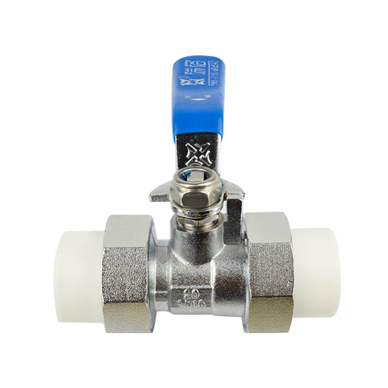 Rieger Valve PPR Double Hot Melt Live Ball Valve | Water Pipe Joint ...