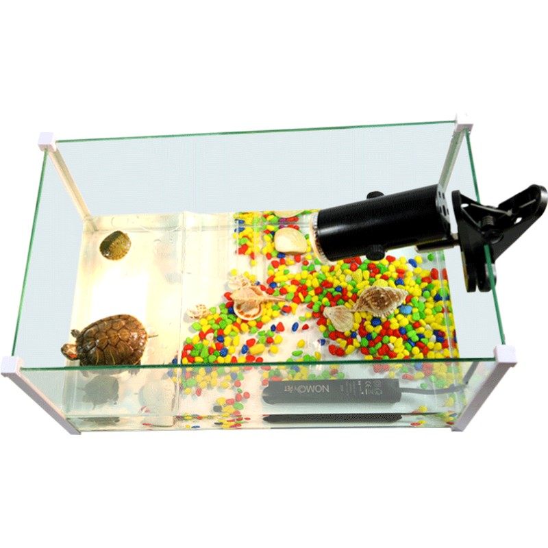 Special Turtle Tank - Small Glass Goldfish Tank for Mixed Fish and ...
