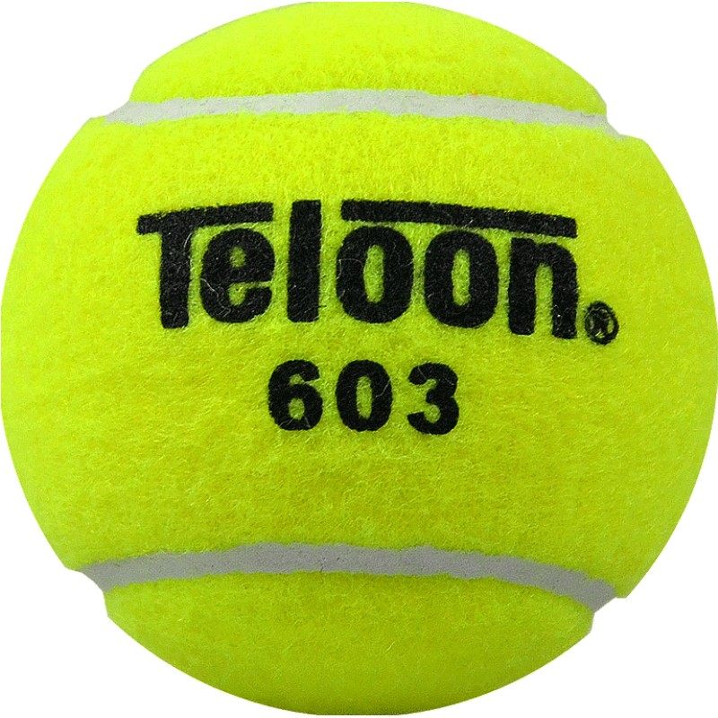 Teloon Tianlong 801 Training Ball - Pack of 60