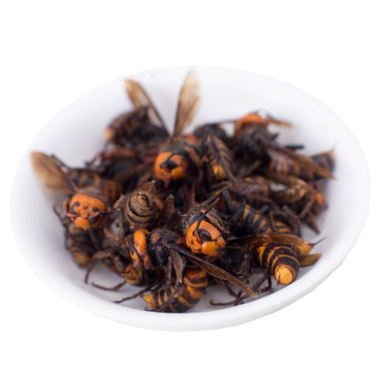 Golden-Ringed Hornet, Mine Bee, Bulk Bumble Bee, Wasp Soaked in Wine ...