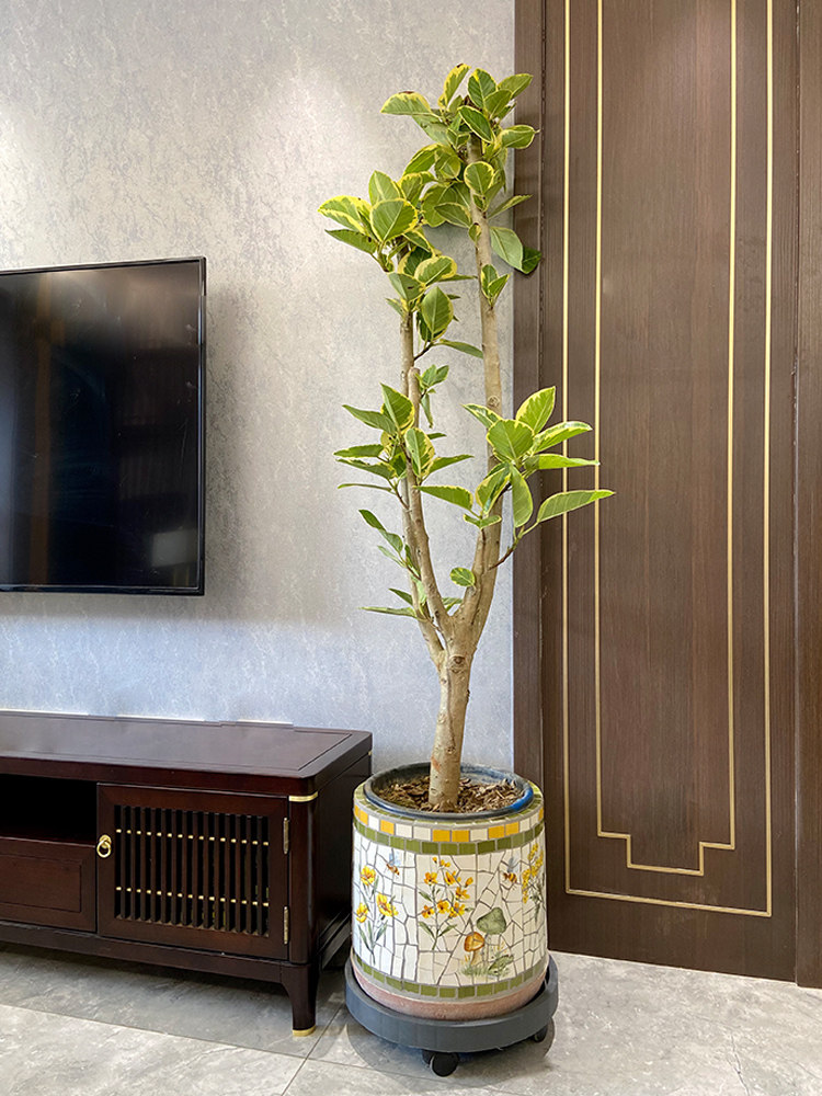 High-End New Chinese-Style Indoor Flower Pots with Nestable Features ...