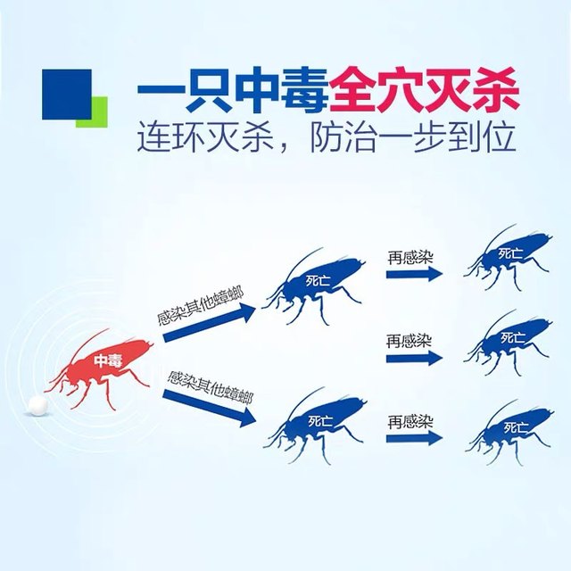 Germany's Bayer Bayer Cockroach Killer Killer Cockroach Killer for ...