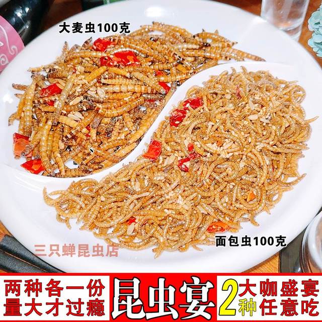 Fried grasshoppers, bean worms, silkworm chrysalises, locusts, barley ...