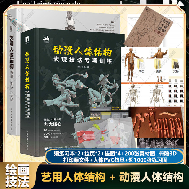 Specialized Training in Animation Human Body Structure Expression ...