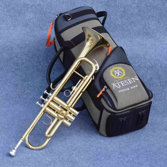 Genuine Jinbao trumpet JBTR-300 Musical Instrument Bed Bedment of ...
