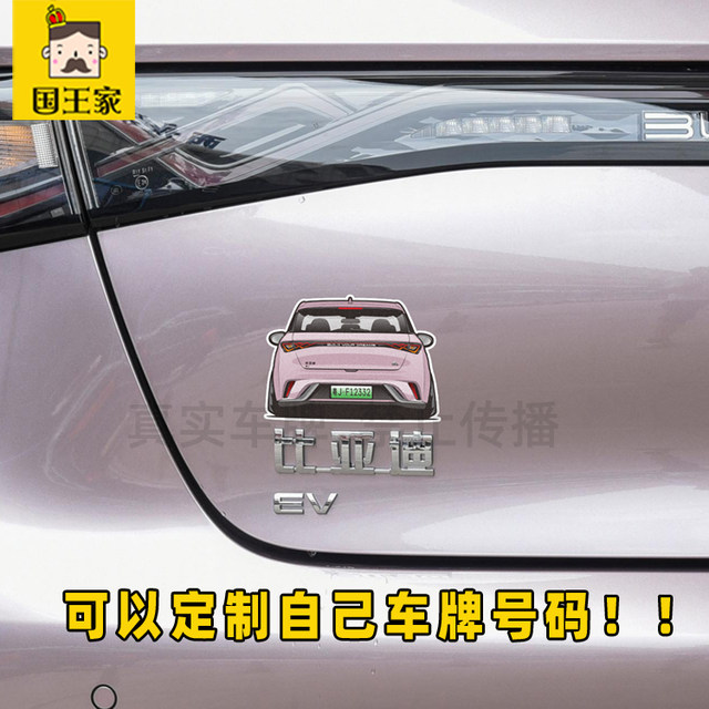 2023 BYD Dolphin EV rear small sticker BYD hatchback charging port ...