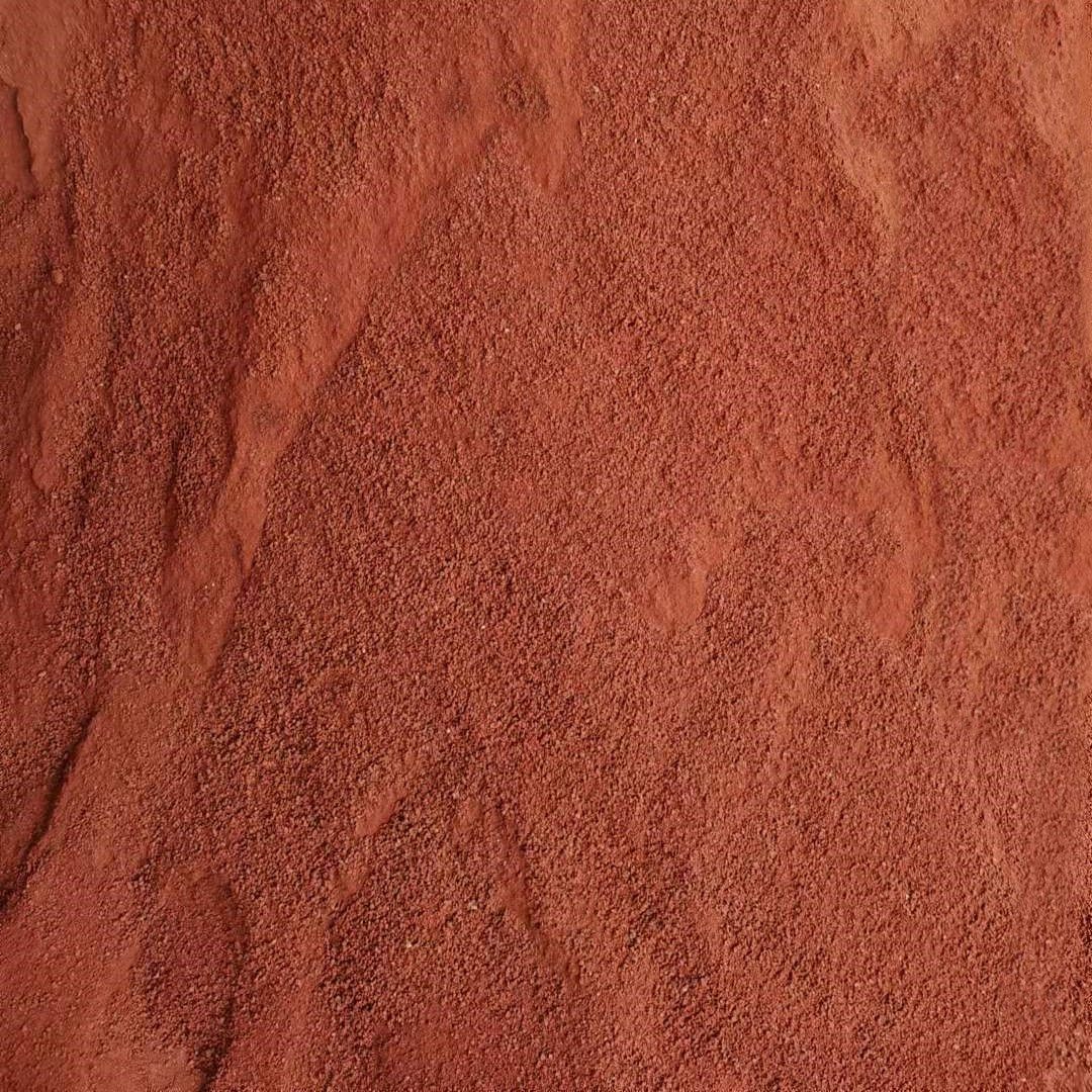 Sable de calcium pour le cocooning des fourmis dans un aménagement ...