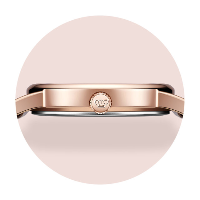 TIAN WANG Fashion Watches For Birthday/Girlfriend Gift 3612