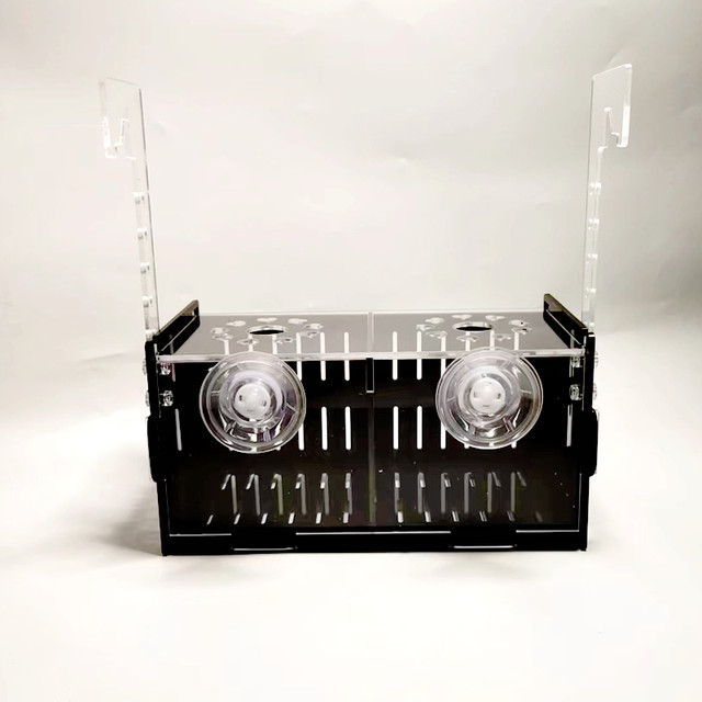 White black double grid acrylic turtle isolation box doghead fish ...