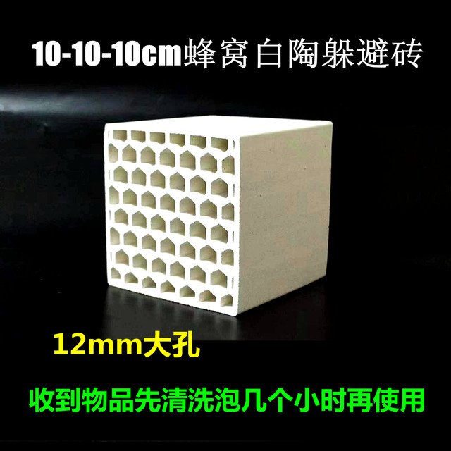 Natural ceramic honeycomb rice shrimp Su shrimp crystal shrimp avoid ...