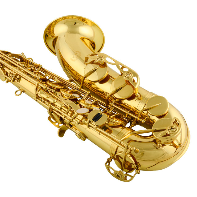 Jinyin Saxo Sakura Saks Wind JYTS-A600F Labing B Tuning Primary Primary ...