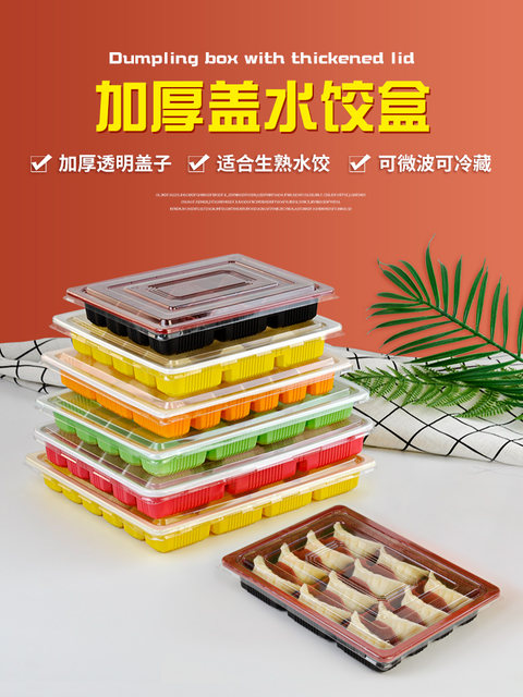 Disposable dumpling box plastic frozen dumpling box with thick cover 20 ...