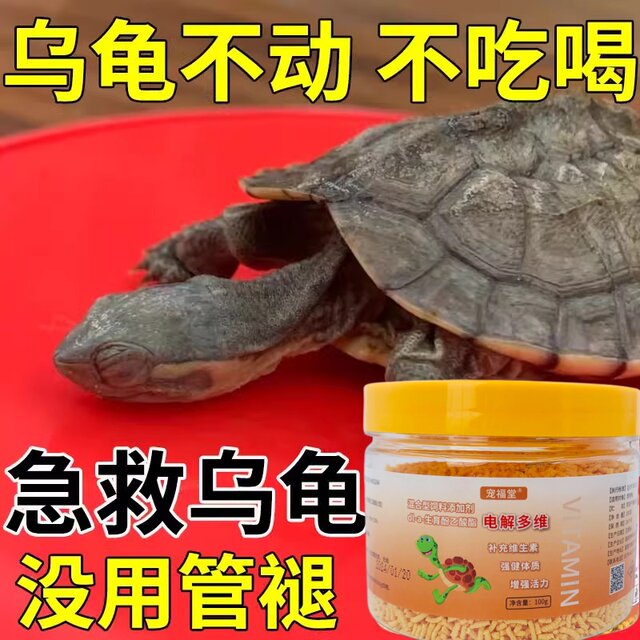 Tortoise electrolyte multi-dimensional electrolyte supplements ...