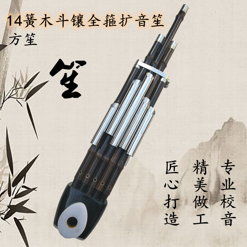 Instrument sheng 14 anches en bois doosheng professionnel violet bambou ...