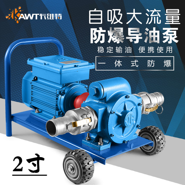 Electric oil pump 12v24v220v explosion-proof oil guide unloading pump ...
