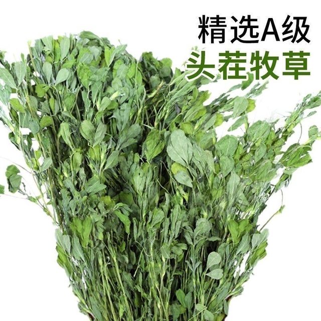 Alfalfa rabbit food, purple flower hay, baby rabbit food, food for ...