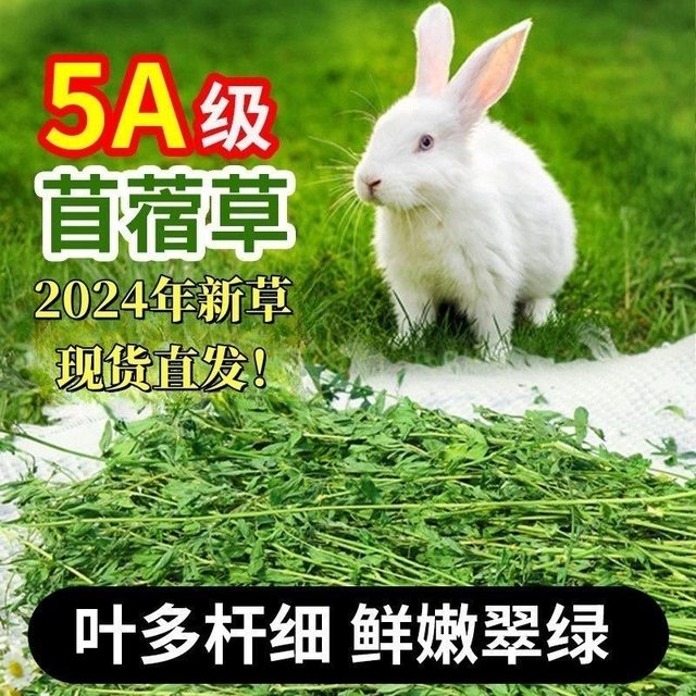 Alfalfa rabbit food, purple flower hay, baby rabbit food, food for ...