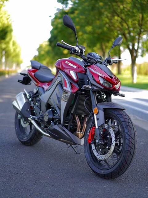 N19 street car Jiajue Python motorcycle Jiaolong sports car Kawasaki ...