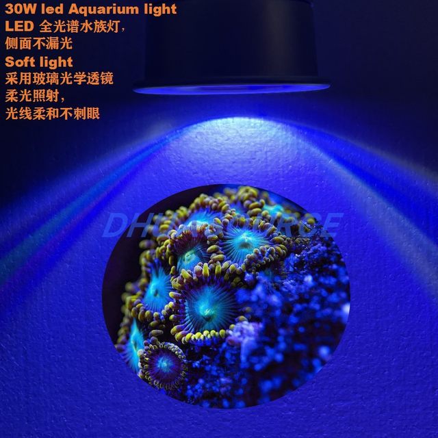 Full spectrum LED coral lamp sea water tank aquarium algae cylinder ...