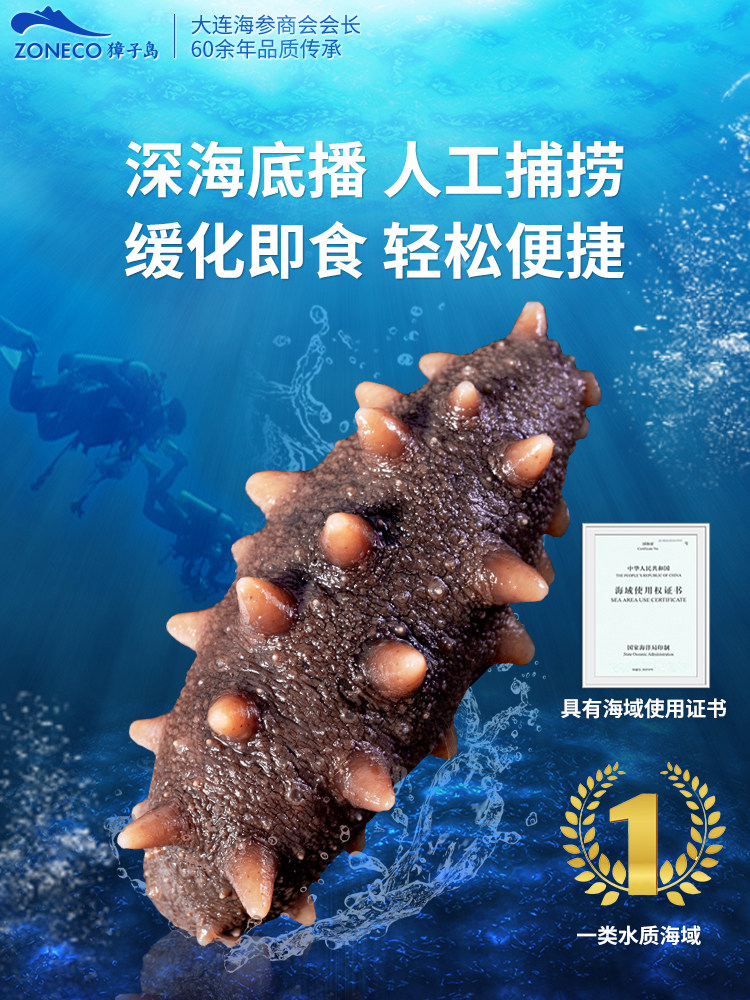 Zhangzi Island Instant Sea Cucumber - 1200g Dalian Gift Box - 21-30 Heads