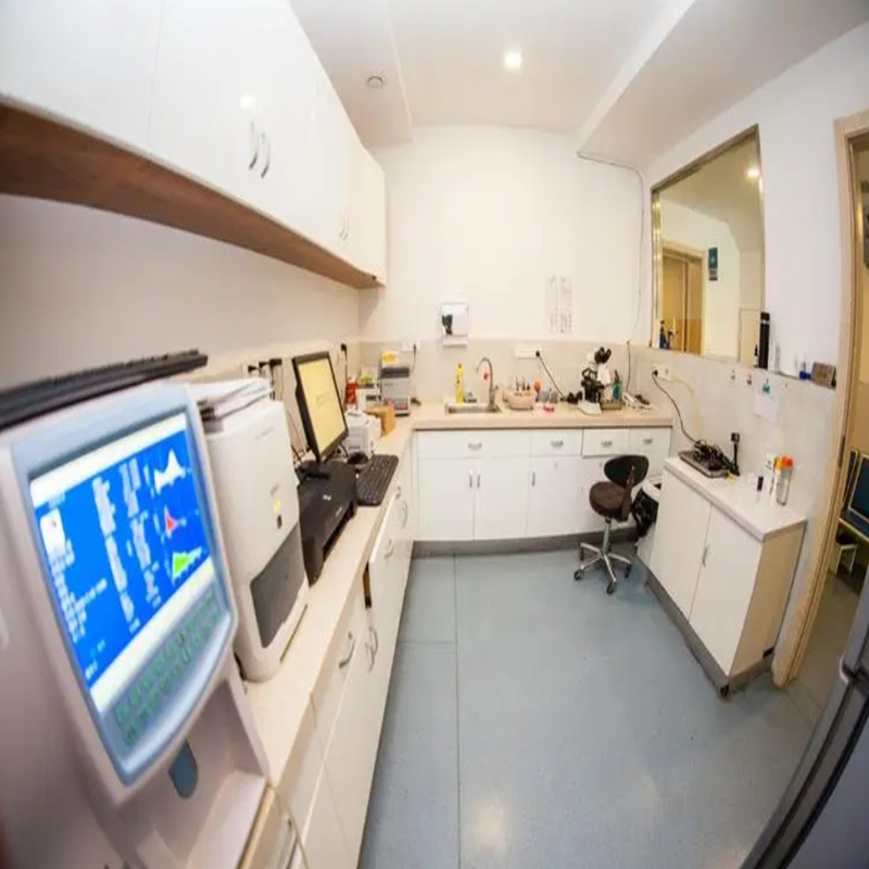 Pet Hospital Veterinary Consultation 24-hour Online Doctor Cat Clinic Dog Professional ...