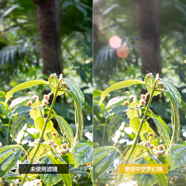 Kase card color hollow dream filter 77mm soft light mirror hazy dreamy ...