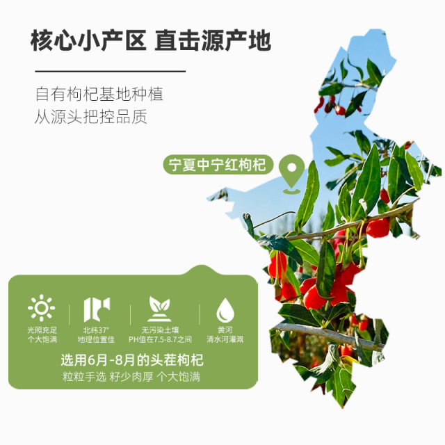 Zaokang wolfberry puree Ningxia Zhongning first fresh red wolfberry ...