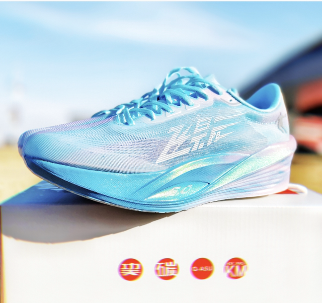 Jordan Feiying PB5.0I Professional Marathon Racing Full Palm Carbon ...