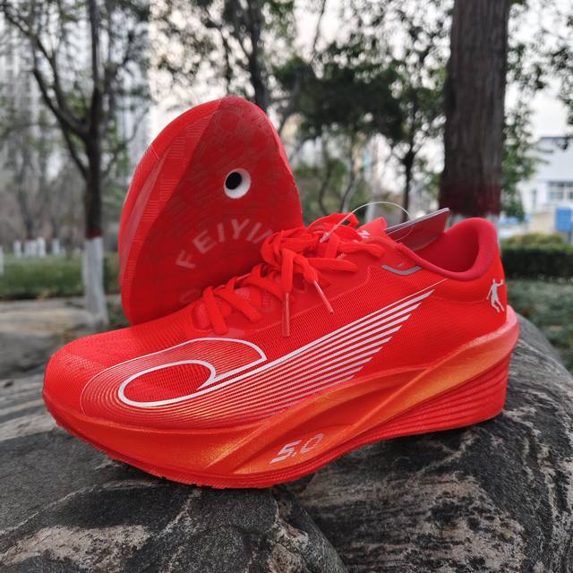 Jordan Feiying PB5.0I Professional Marathon Racing Full Palm Carbon ...