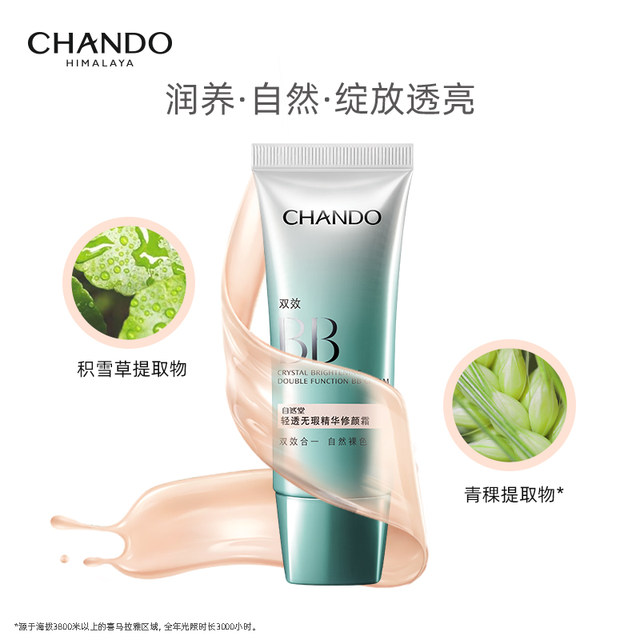 Chando Light and Flawless Essence Repair Cream Dual-effect BB Concealer ...