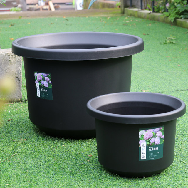 Large flowerpot household potted blackcurrant pot green radish rose ...