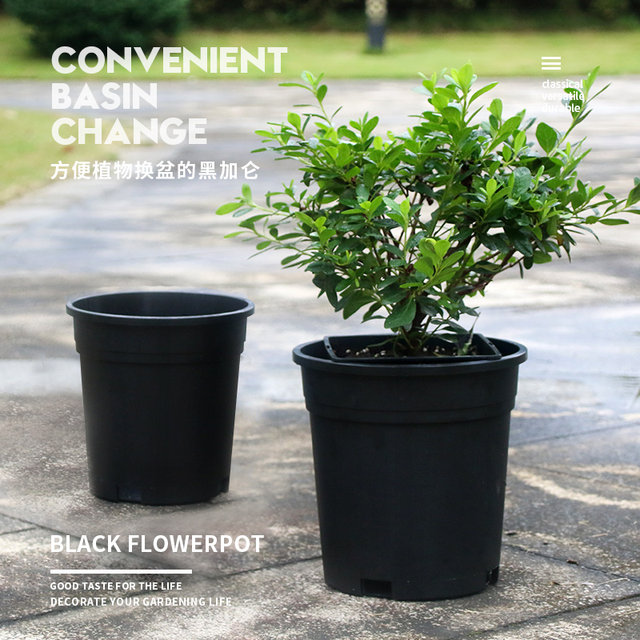 Gardening Black Gallon Pot Basin Basin Plastic Room Planted Plant ...