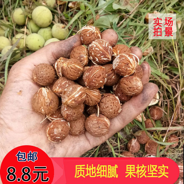 Wild mountain peach core hand string mountain peach Hu carving raw ...