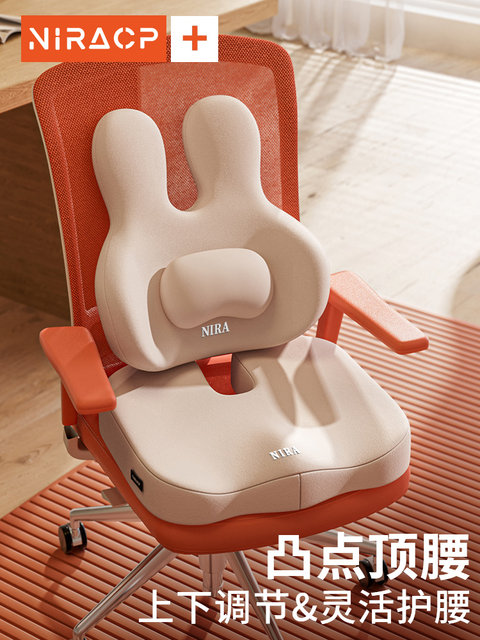 Backrest Waist Support Office Cushion Work Station Sedentary Artifact ...