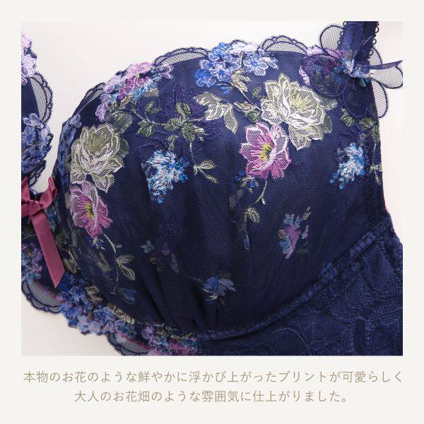 RisaMagli women's underwear sweet pure desire embroidered lace push-up ...