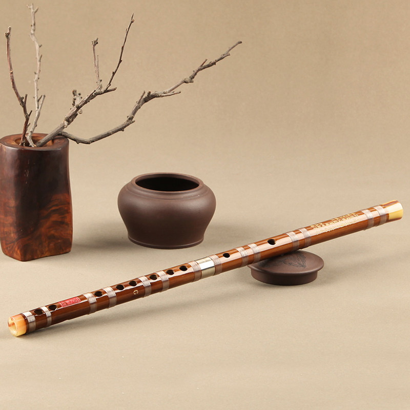 Entry-Level Professional Copper Bamboo Flute for Beginners - DIYin Flute