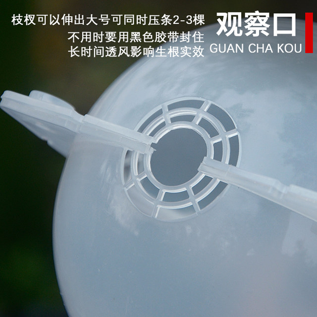 Plant high-pressure grafting box propagation box root control box ...