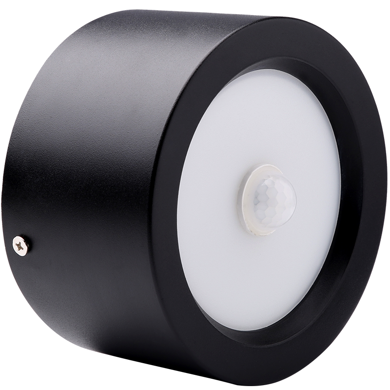 Led Human Body Sensor Downlight Surface-Mounted Infrared Induction ...
