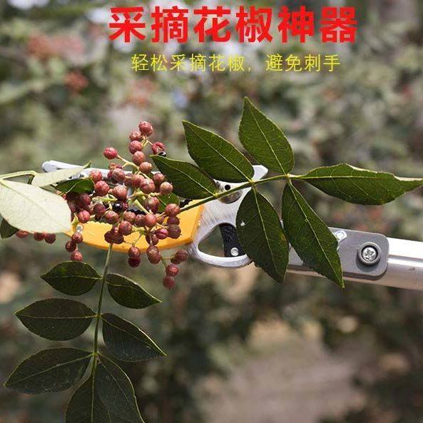 Lychee picking artifact telescopic pole high-altitude mango persimmon ...