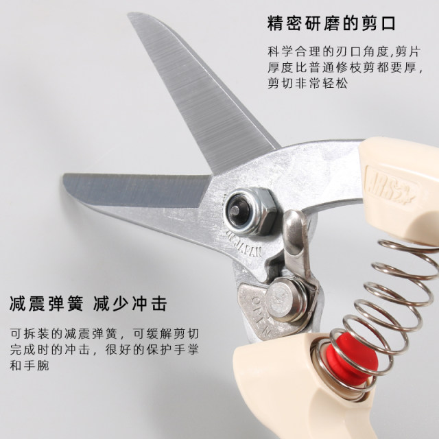 Japan Alice ARS140DX imported flower scissors gardening plastic scissors flower art scissors ...