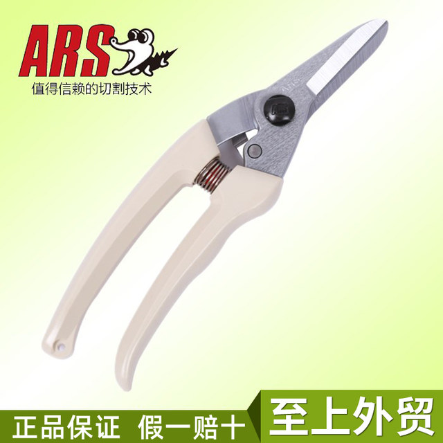 Japan Alice ARS140DX imported flower scissors gardening plastic scissors flower art scissors ...